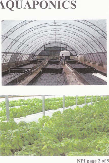 Needful Provision, Inc.